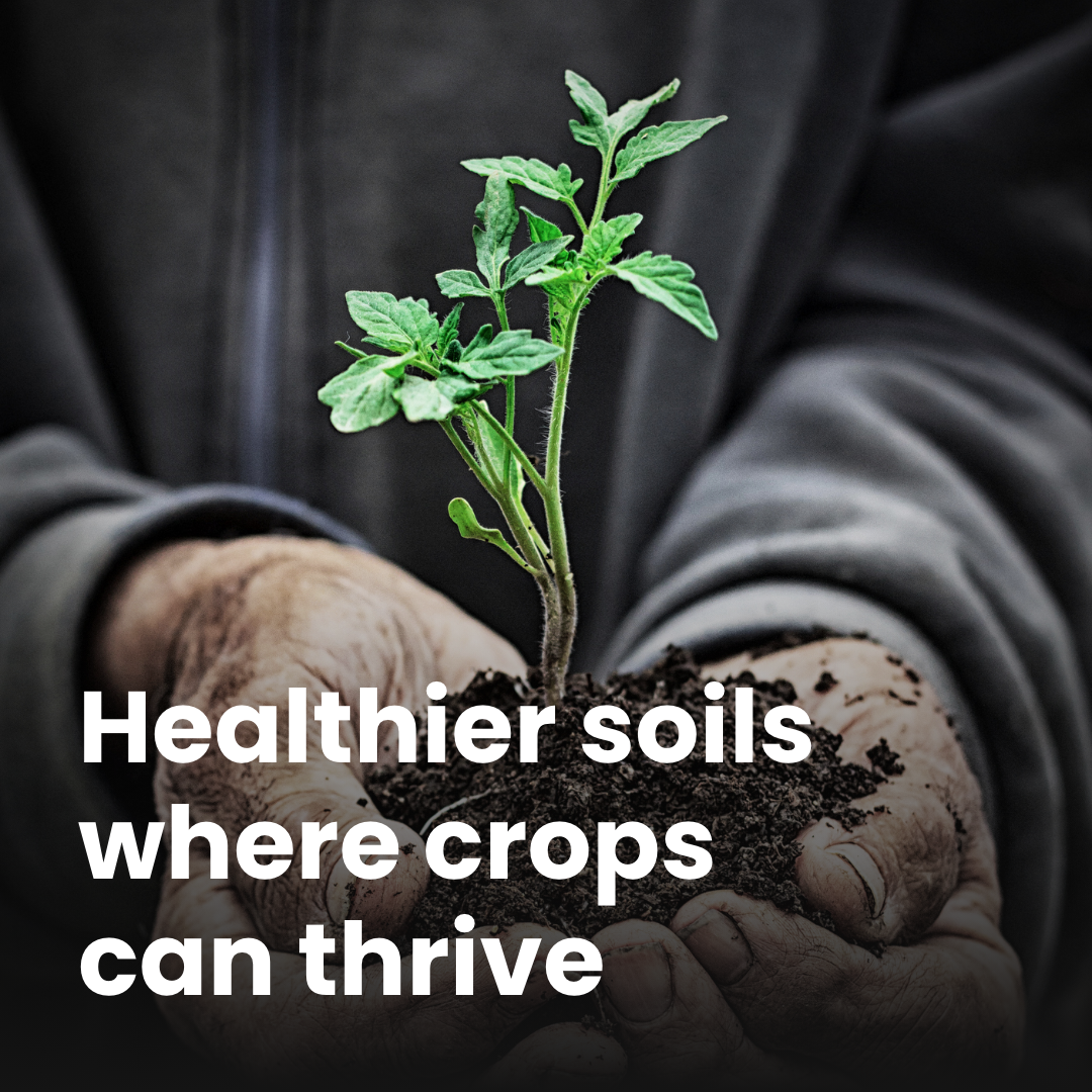 Why biostimulant seed treatments are better for regenerative farming ...