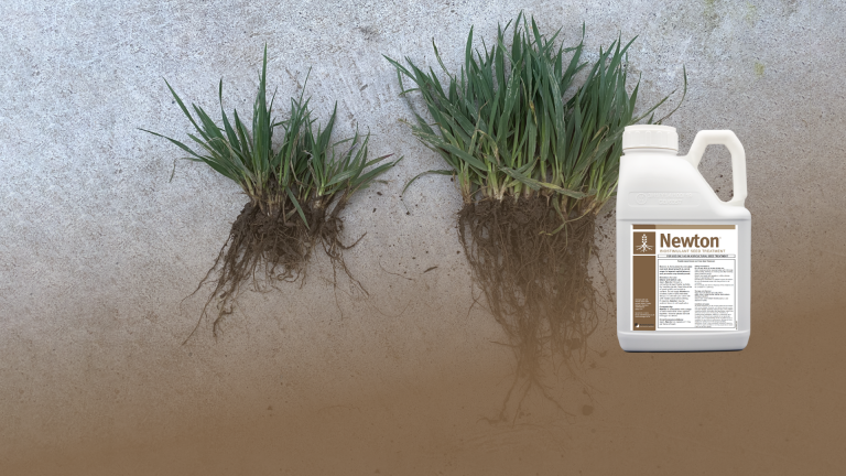 Stimulate plants to thrive with Newton biostimulant seed treatment ...